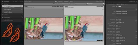 Solved Lightroom Classic Cc Sort By Capture Time Faulty Adobe