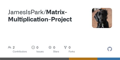 Github Jamesispark Matrix Multiplication Project