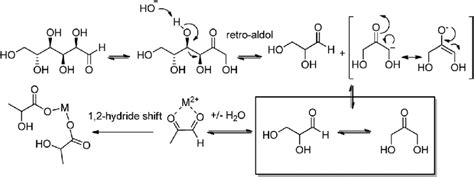 Simple Hydrolysis Reaction