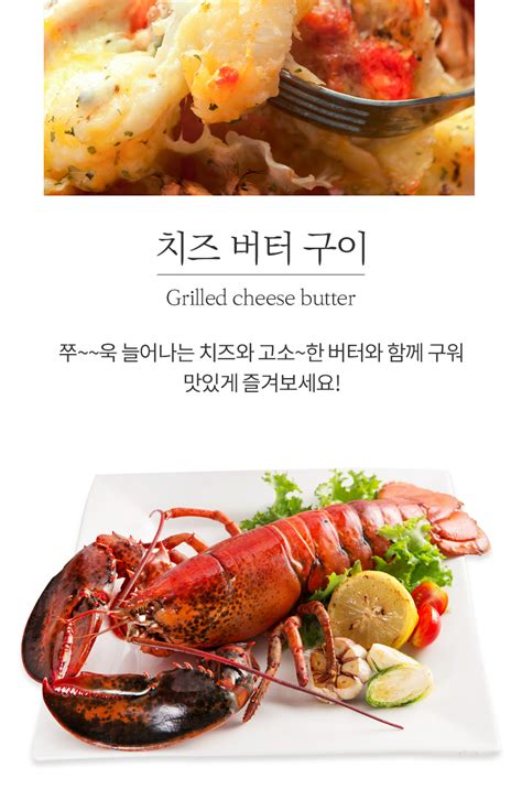 캐나다산 활 랍스터 자숙용 바닷가재 랍스터테일 주 맛있는푸드