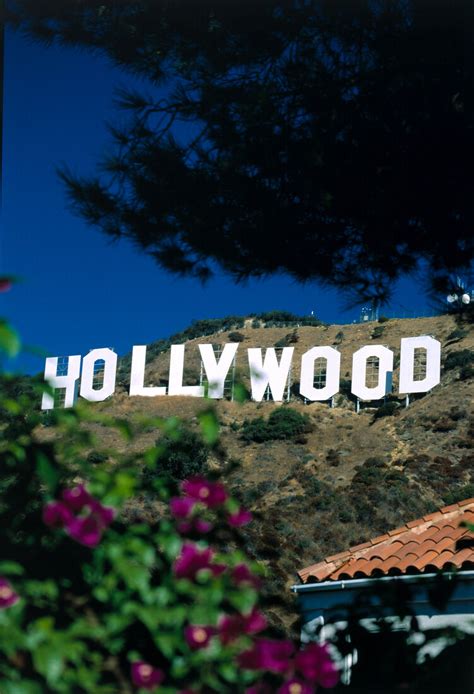 Hollywood Sign Backgrounds