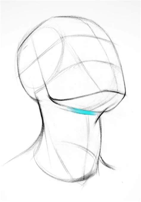 Pin On Art Class Anatomy Reference Drawing People Neck Drawing