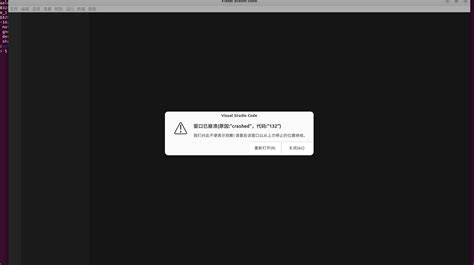 在linux下面使用vscode报错了 鱼香ros