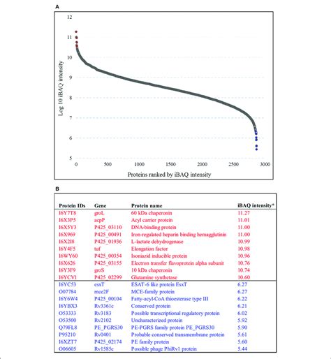 Protein Dynamic Range Estimation A Combined Intensity Based Download Scientific Diagram