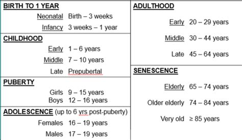 Chapter 8 Physical Growth Maturation And Aging Flashcards Quizlet