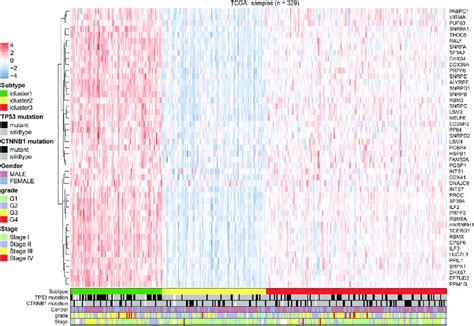 Heatmap Of Splicing Factors Clusters Heatmap Of The 329 Hcc Patients