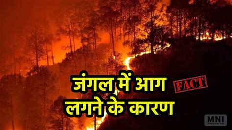 Jangal Me Aag Causes Of Forest Fire Hindi