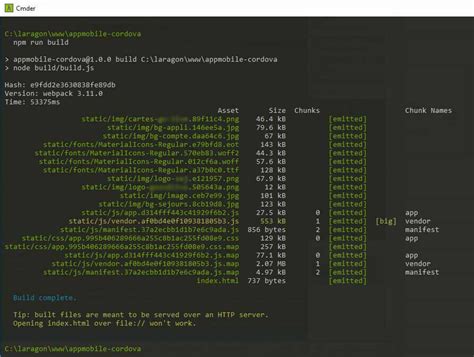 Cordova Webpack Vuejs Npm Run Build Old Assets Version Stack