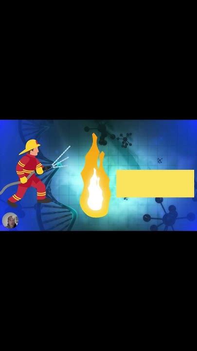 Nrf2 Factor Nuclear Eritroide 2 Una Proteína Mágica Youtube