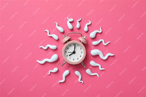 Premium Photo Concept Of Fertilization Period Of Ovulation Ovum