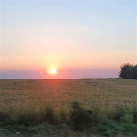 Susan Ackerman Youtube