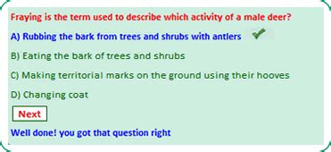 The DSC 1 DSCtraining Org