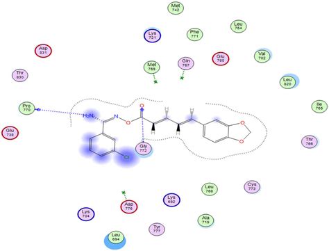 Schematic Representation Of Docking Interactions Of Compound Vig Within Download Scientific