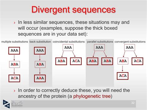 PPT Pairwise And Multiple Sequence Alignment PowerPoint Presentation ID 5141821