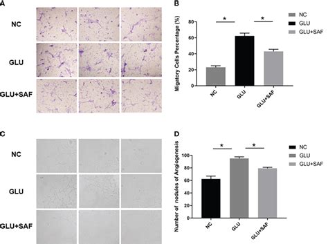 Transcriptome Sequencing Results A Shows The Heat Map Of The Three