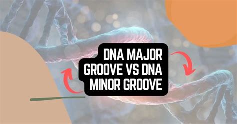 Dna Groove Archives Genetic Education