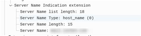 WebSocket TLS nginx与Cloudflare CDN梯子V Ray伪装域名 host 的功能无法使用 Issue v ray v ray core