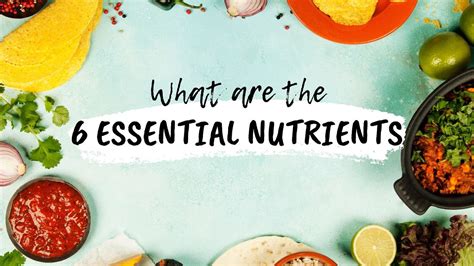 Essential Nutrients Youtube