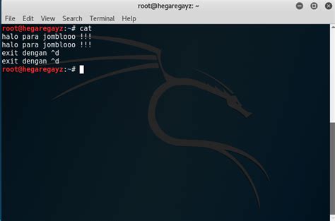 sistem operasi operasi input output pada linux
