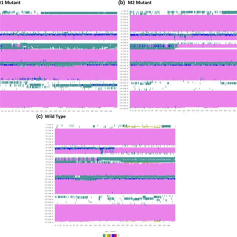 Distribution Of Secondary Structure Elements During The Simulation A