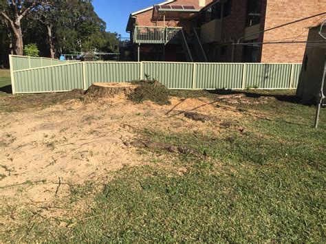 Ace Stump Grinding Terrigal Nsw
