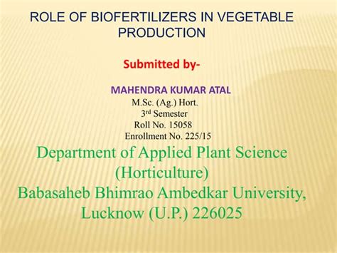 Types Of Biofertilizers Pptx