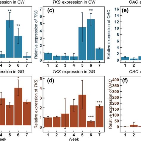 Expression Of Upstream Genes In The Cannabinoid Biosynthetic Pathway Download Scientific
