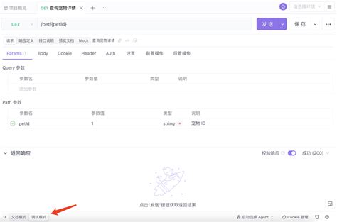 调试模式 Apifox 帮助文档