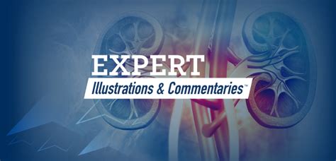 Whats New In 2024 From The Clsi Subcommittee On Antimicrobial Susceptibility Testing