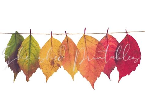 Autumn Leaves On A String Leaf Plant Digital Image Download Etsy