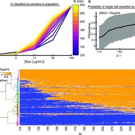 Machine Learning Based Single Cell Pharmacokinetics And Download Scientific Diagram