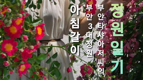 아름다운 정원일기 부안3대정원 아침갈이정원영상 타샤튜더처럼 살고싶은 부안타샤아저씨의 꽃 정원 빈티지 린넨이야기 아름다운정원 정원가꾸기 정원소개 아침갈이 인사동고