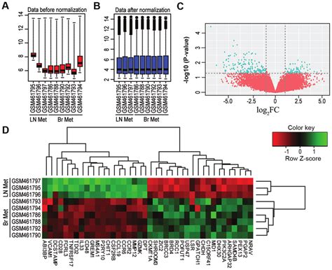 Normalization Of Gene Expression Data Volcano Plot Of Degs And Heatmap Download Scientific