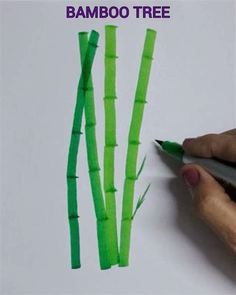 How To Draw A Bamboo Tree Easily Bamboo Tree Brush Pen Drawing Youtube