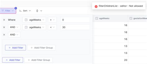 🐛 Bug Editors Cannot Use Filter Groups · Issue 6224 · Nocodbnocodb