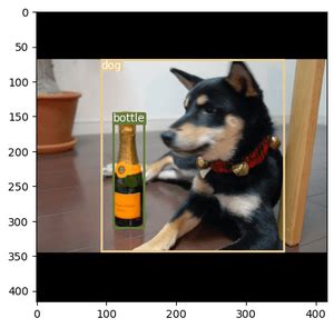 Yolov From Scratch Using Pytorch Geeksforgeeks