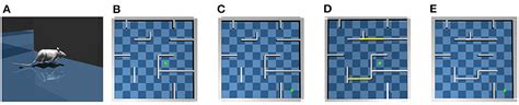 frontiers a computational model of learning flexible navigation in a