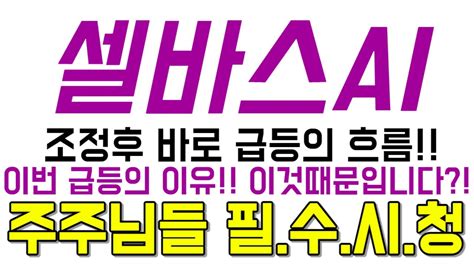 셀바스ai 주가전망 이번 급등의 이유 이것때문입니다 Youtube