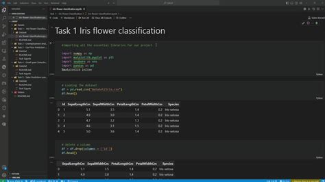 Mark Chindudzi On Linkedin Datascience Machinelearning Python Oasisinfobyte Irisdataset Ai