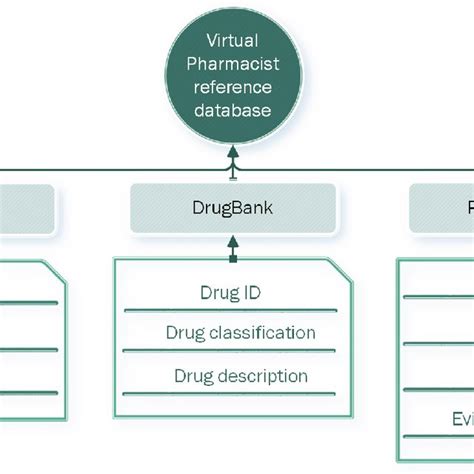 Structure Of The Reference Database Of Virtual Pharmacist Vp