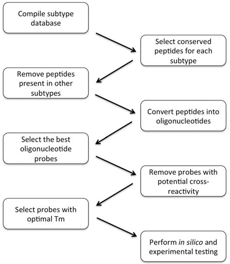 Figure 1 From Universal Oligonucleotide Microarray For Sub Typing Of