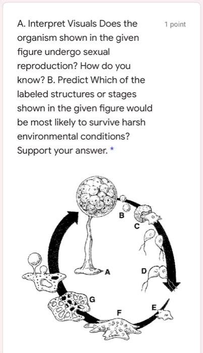 Solved A Interpret Visuals Does The Organism Shown In The Given
