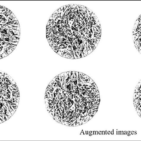 An Example Results Of Data Augmentation Step Download Scientific Diagram
