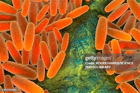 Sepsis Treatment Photos And Premium High Res Pictures Getty Images