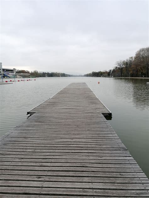 조정 베이스 플로브디프 Pixabay의 무료 사진