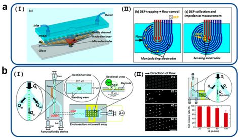Biosensors Special Issue Microfluidic Electrochemical Sensors