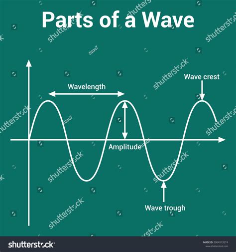 Vektor Stok Parts Wave Crest Trough Amplitude Wavelength Tanpa Royalti 2004913574