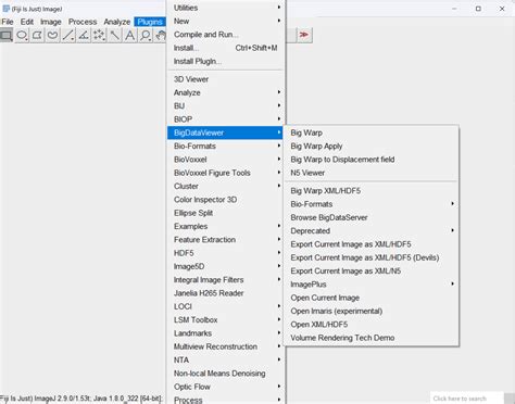 Opening Qupath Project Using Bigdataviewer Usage And Issues Imagesc Forum