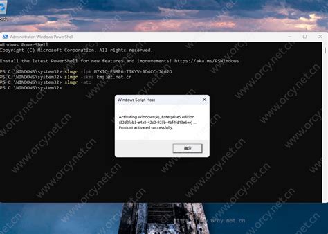 Windows 11 Ltsc 2024长期服务版下载安装 版本号 Build 26100及激活（非激活工具） 下一朵云