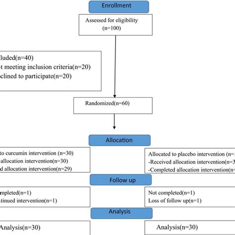 Screening Randomization Follow‐up Analysis Download Scientific